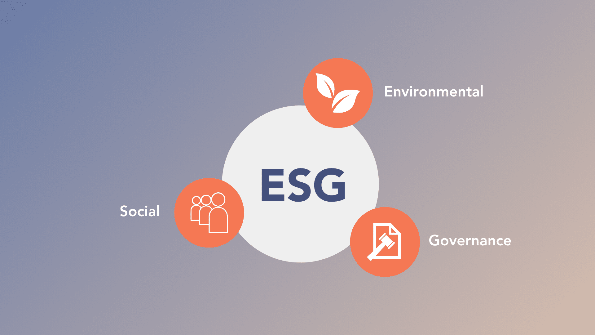 Integrating Environmental and Social Factors into Risk Management: A ...